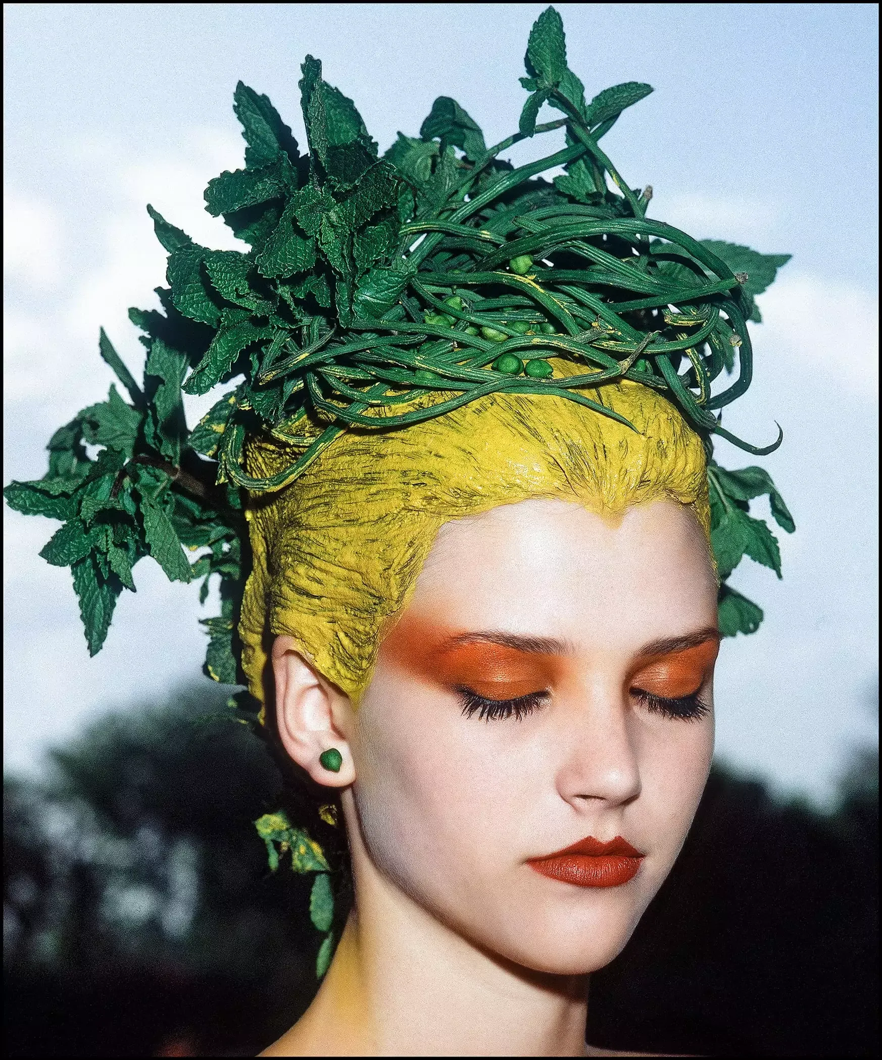 Gallery - Clive Arrowsmith